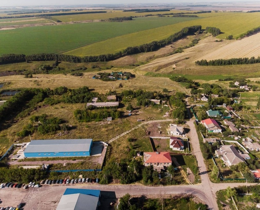 How Cane Straws are Made – The Cane Straw Co